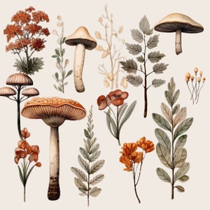 Mushroom Clipart Watercolor Toadstool Fall Thanksgiving Clipart Fall ...