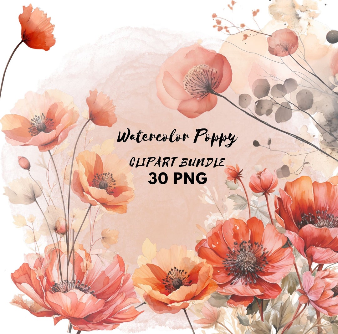 Poppy Watercolor Clipart Bundle Floral Clipart Summer Flowers PNG ...