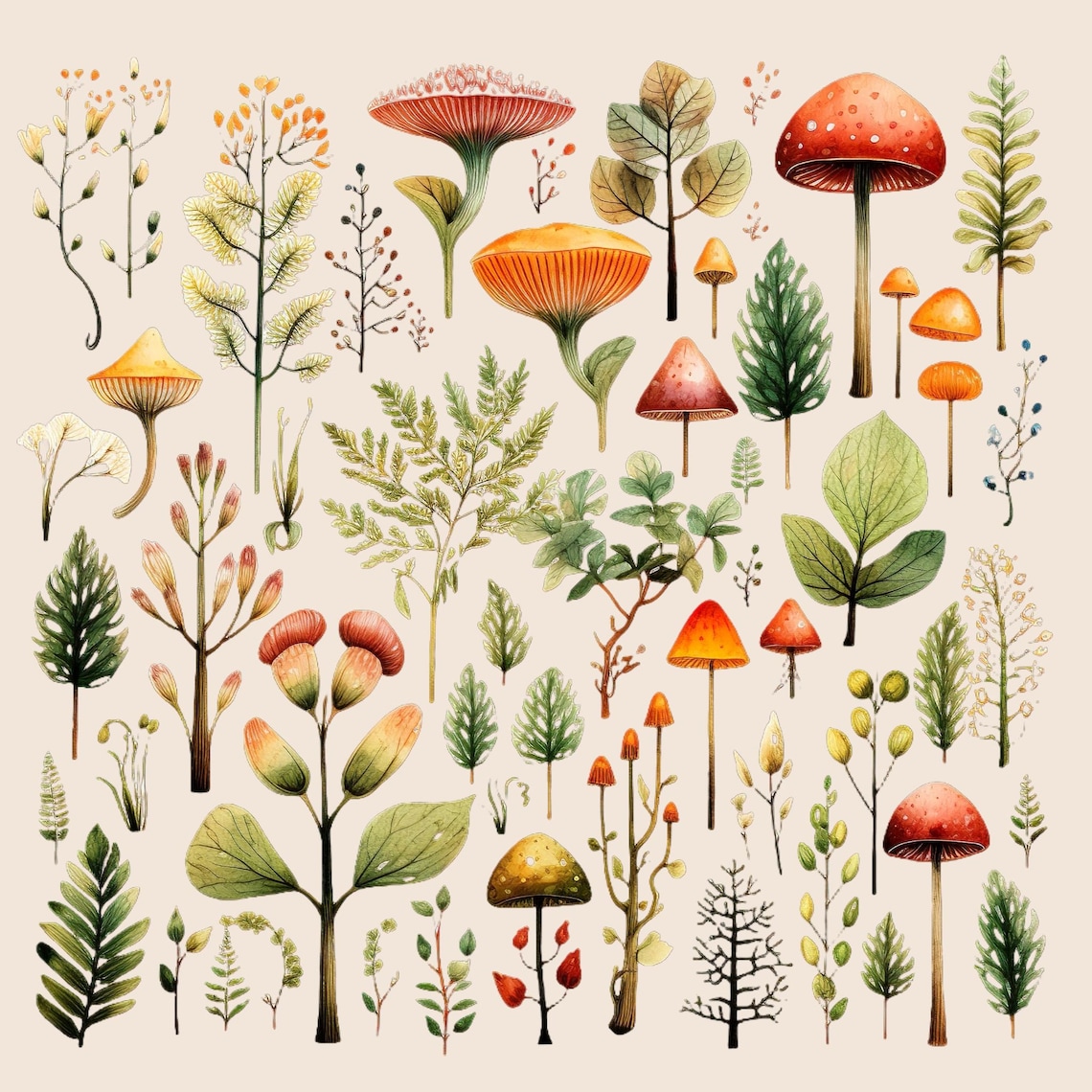 Mushrooms Clipart 14 Woodland Watercolor Toadstool Fall Clipart ...
