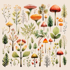Watercolor Mushrooms Clipart Woodland Bounty Forest Fungus PNG ...