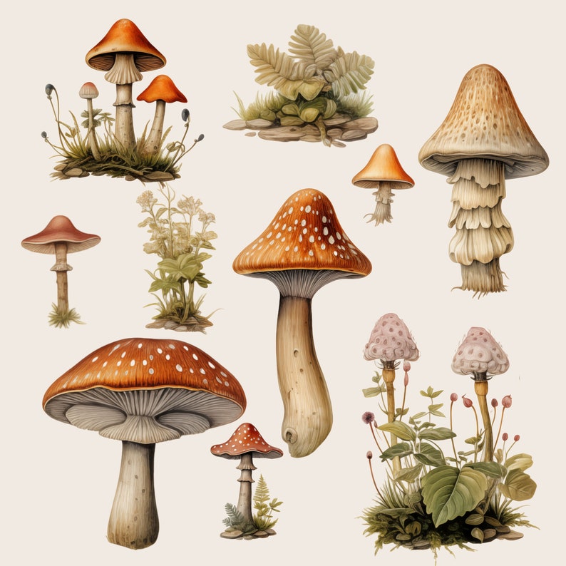 Woodland Clipart | Watercolor Mushrooms Clipart | Cute Mushrooms ...