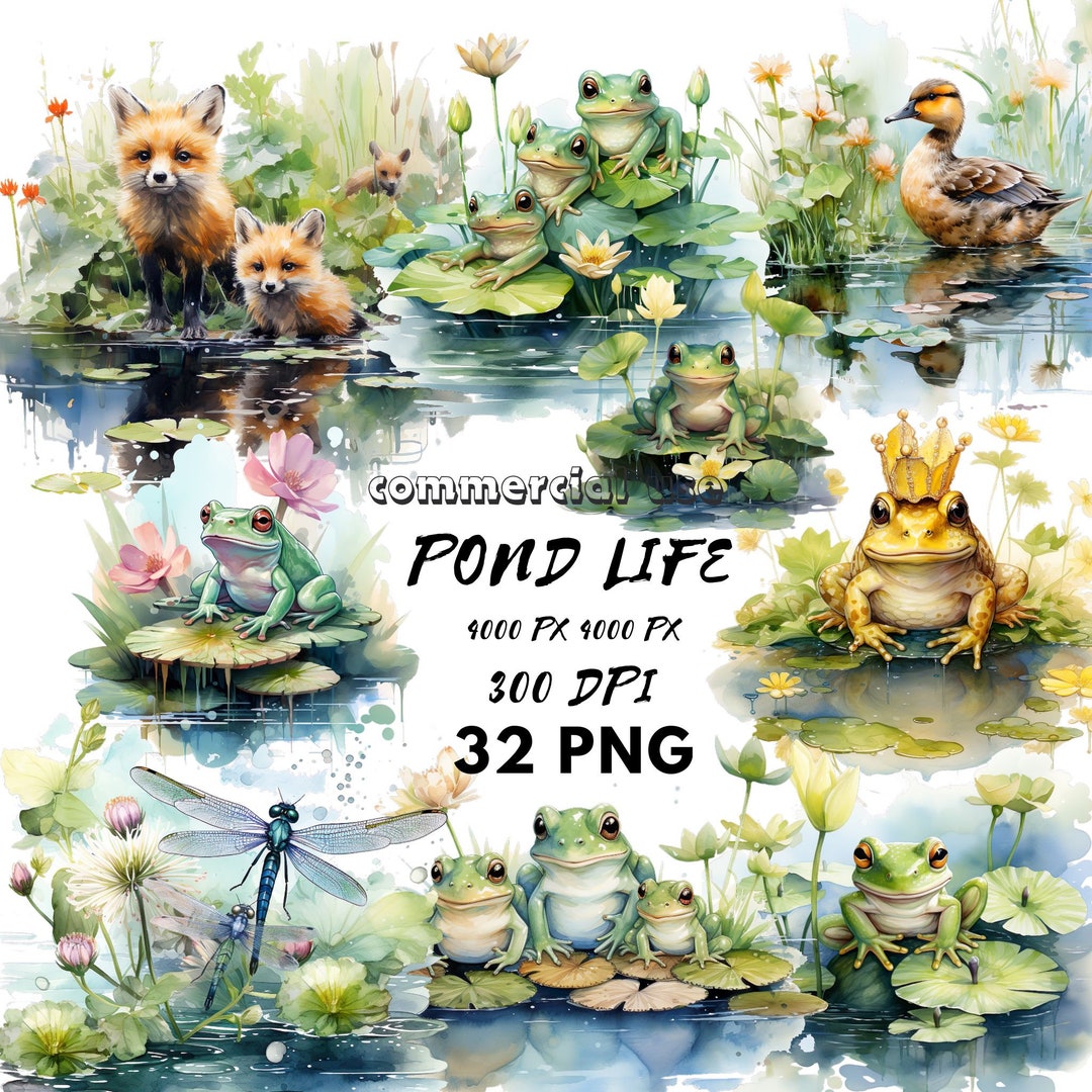 Watercolor Cute Frog Clipart Dragonfly Toad Transparent PNG Wildlife ...