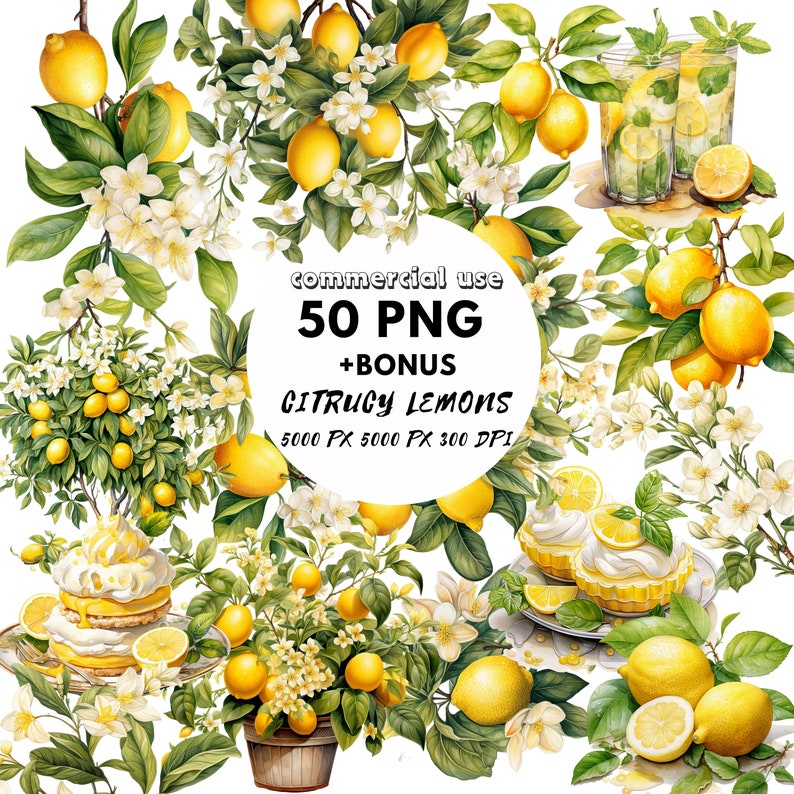 Watercolor Lemon Clipart PNG | Instant Download | Lemonade PNG | Floral ...