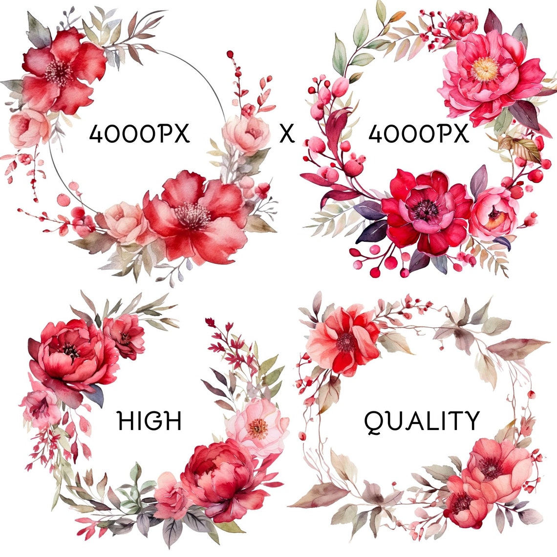 Watercolor Peony Clipart Bundle, Red & Burgundy Florals, Peonies Roses ...