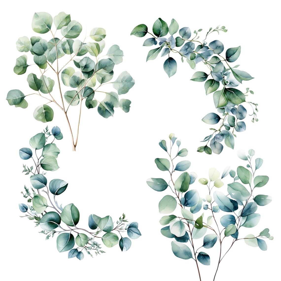Watercolor Eucalyptus Clipart Bundle Baby Blue Watercolor Seeded ...