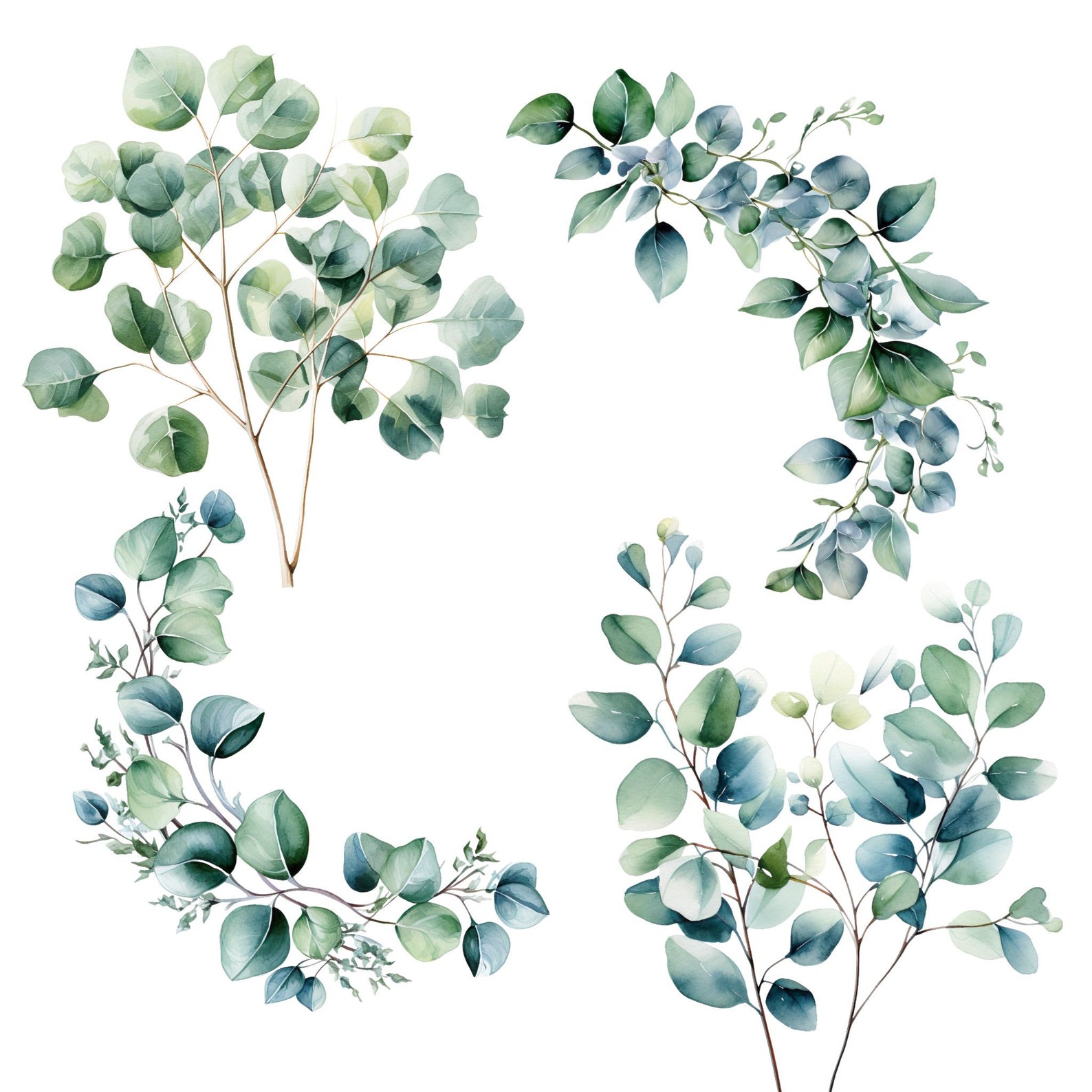 Watercolor Eucalyptus Clipart Bundle Baby Blue Watercolor Seeded ...