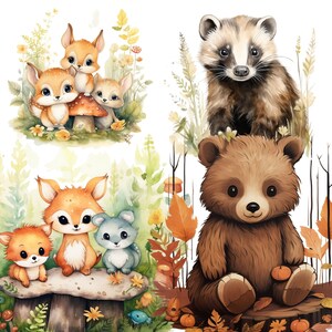 Woodland Animals Clipart Bundle - Watercolor - Transparent Pngs - Fox ...