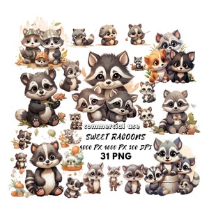 Kawaii Animated Raccoon Clipart Bundle Cute Forest Animal With Family ...