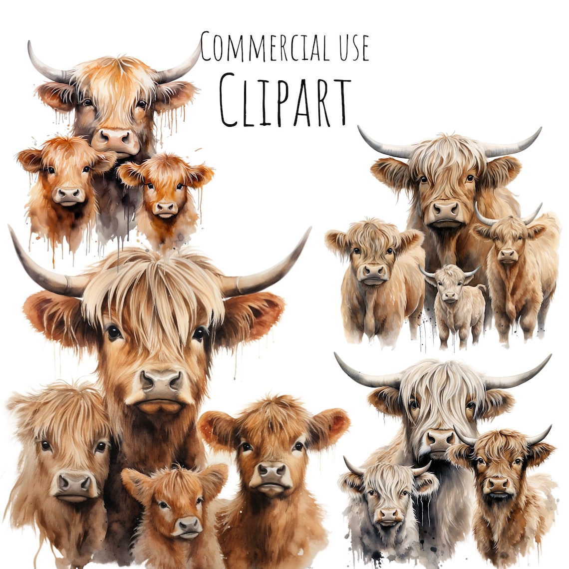 Highland Cow Family Clipart Buffalo PNG Bundle Watercolor Cute Scottish ...