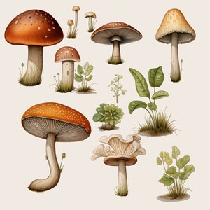 Woodland Clipart | Watercolor Mushrooms Clipart | Cute Mushrooms ...