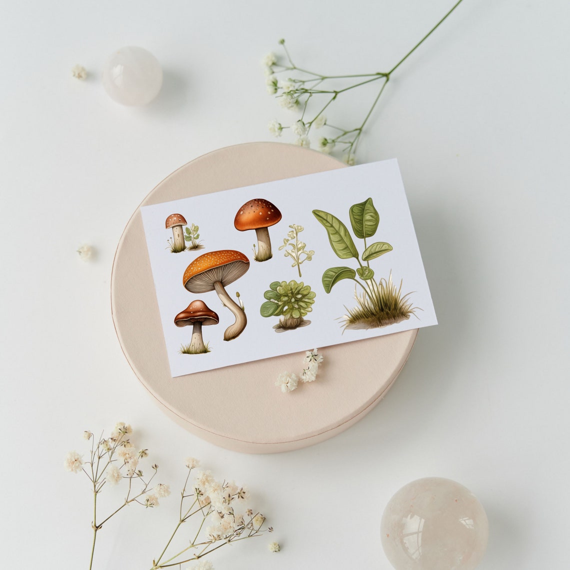 Woodland Clipart | Watercolor Mushrooms Clipart | Cute Mushrooms ...