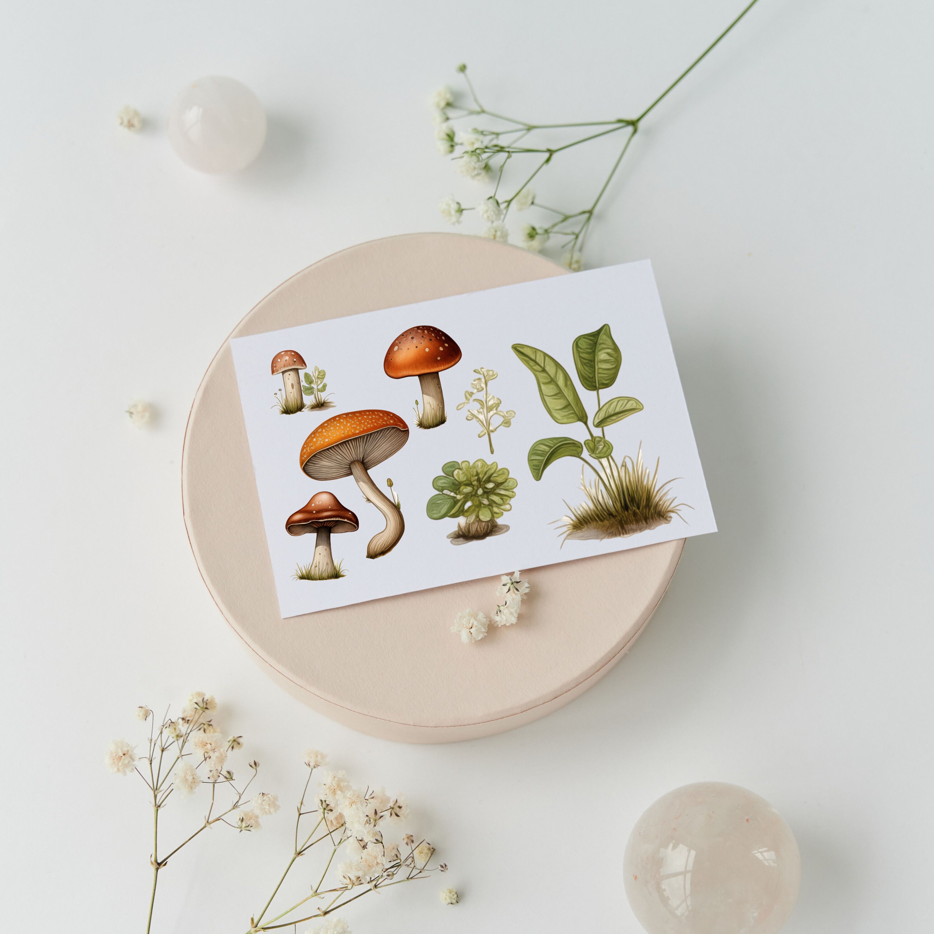 Woodland Clipart | Watercolor Mushrooms Clipart | Cute Mushrooms ...