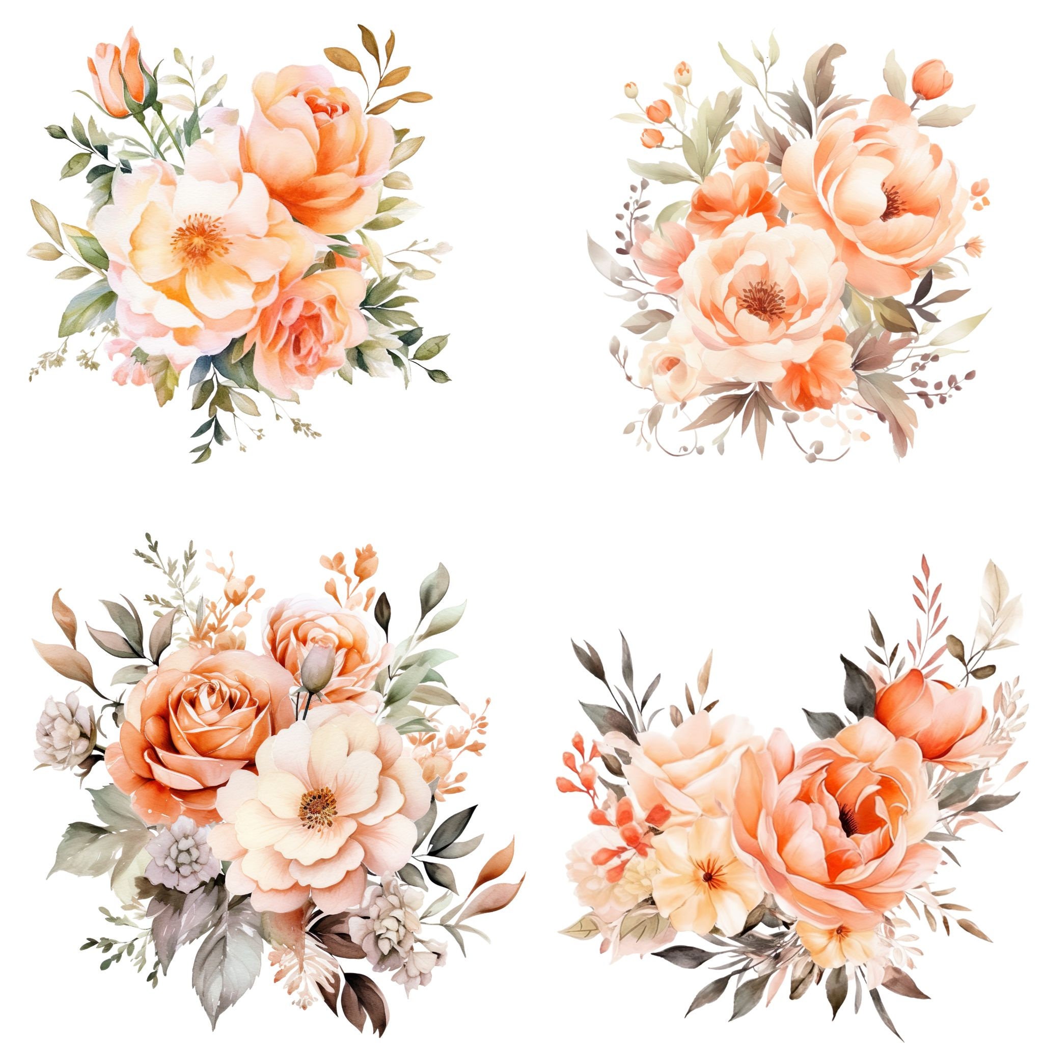 Watercolor Peach Floral Clipart Peony and Roses PNG Blush Flowers ...