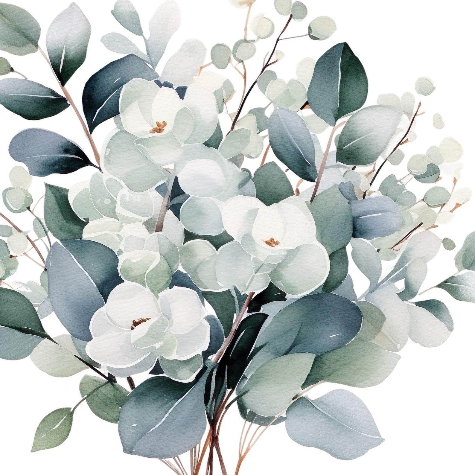 Watercolor Eucalyptus Clipart Bundle Baby Blue Watercolor Seeded ...