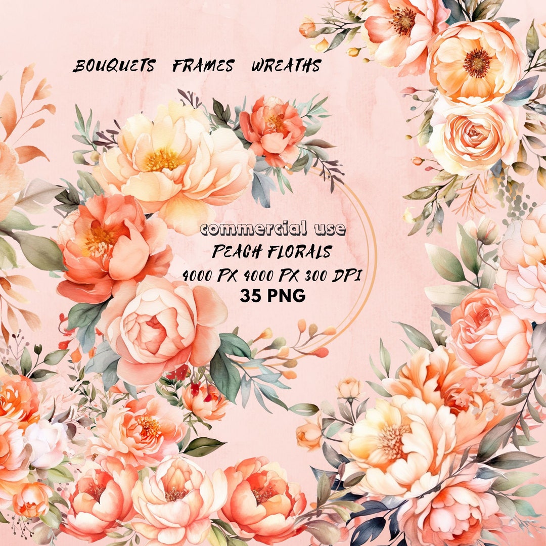 Watercolor Peach Floral Clipart Peony and Roses PNG Blush Flowers ...