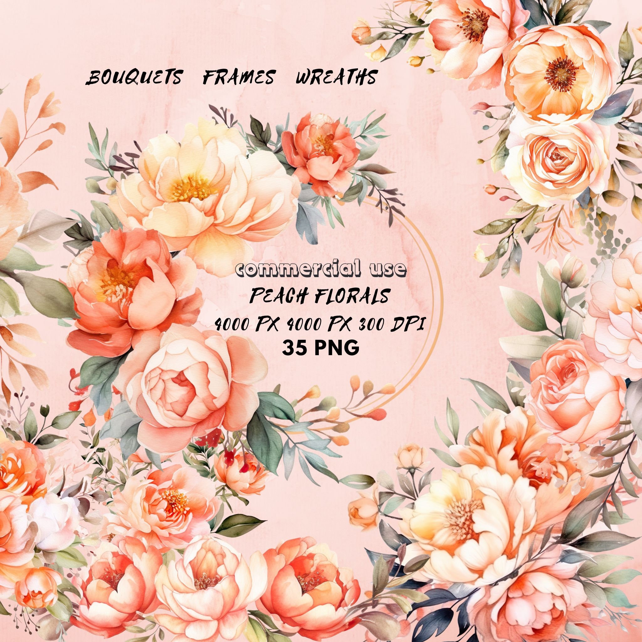 Watercolor Peach Floral Clipart Peony and Roses PNG Blush Flowers ...