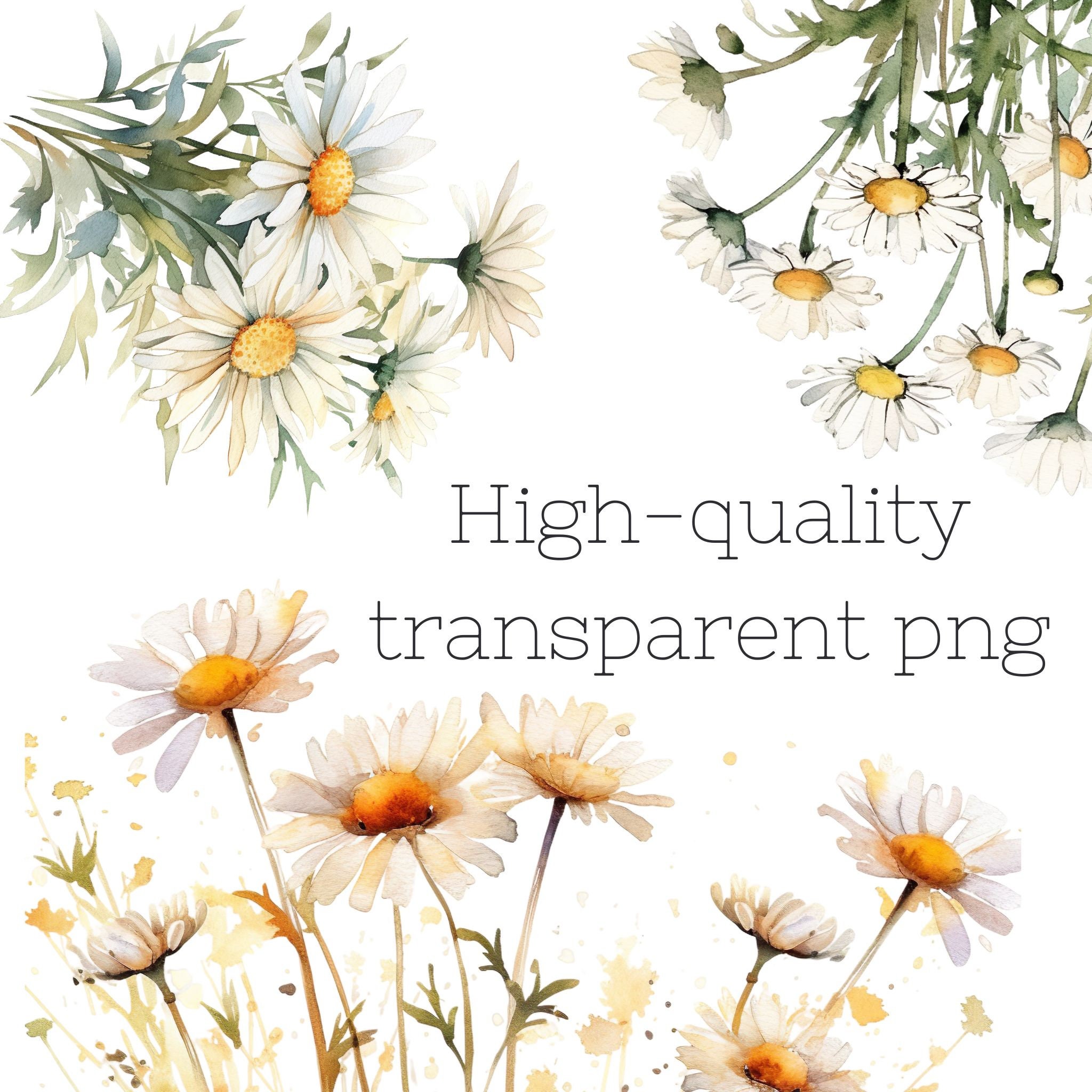 Daisy Birthflower April Clipart Floral Watercolor Daisy Wreath Corner ...