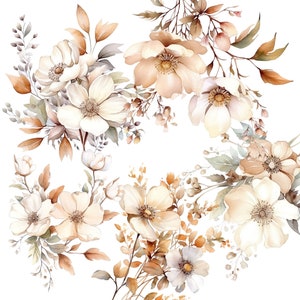 Neutral Floral Art Boho Watercolor PNG Flowering Boho Soft Neutral ...