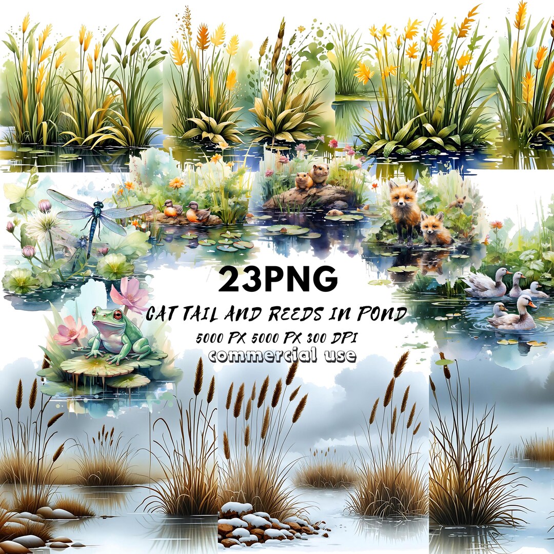 Cattails and Reeds Clipart - 23 High Quality Pngs - Nature Graphics for ...