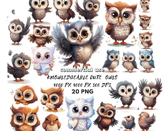 Premium Vector Clipart - Kawaii Owls - Cute Owls Clipart Set - High ...