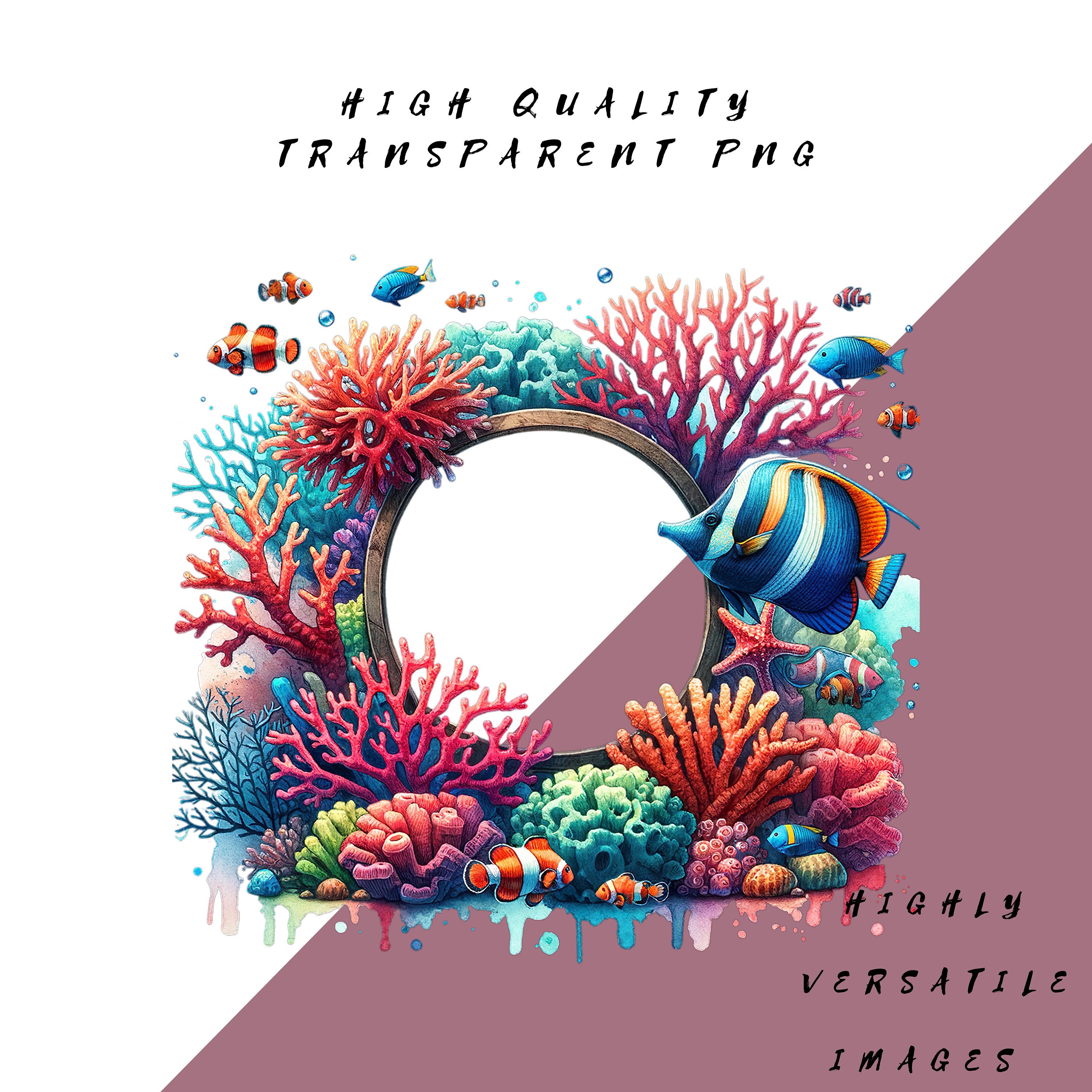 Shells Frame Clipart Mermaid PNG Seashell Frame Digital Clipart Coral ...