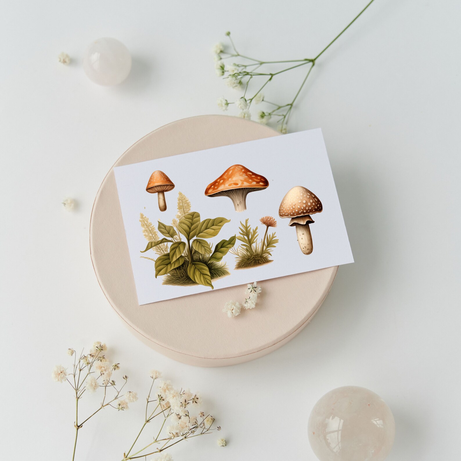 Mushroom Clipart Watercolor Toadstool Fall Thanksgiving Clipart Fall ...