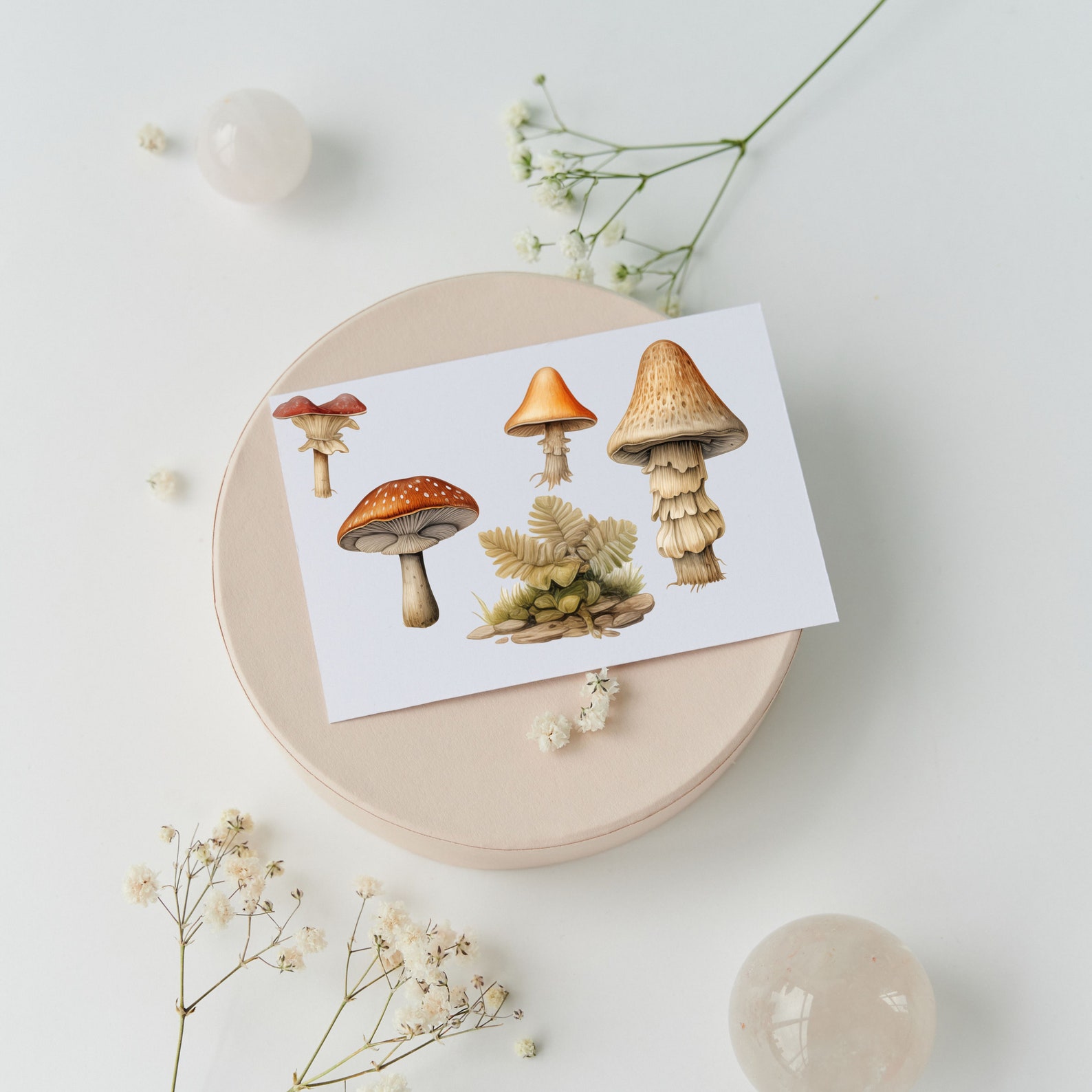Woodland Clipart | Watercolor Mushrooms Clipart | Cute Mushrooms ...