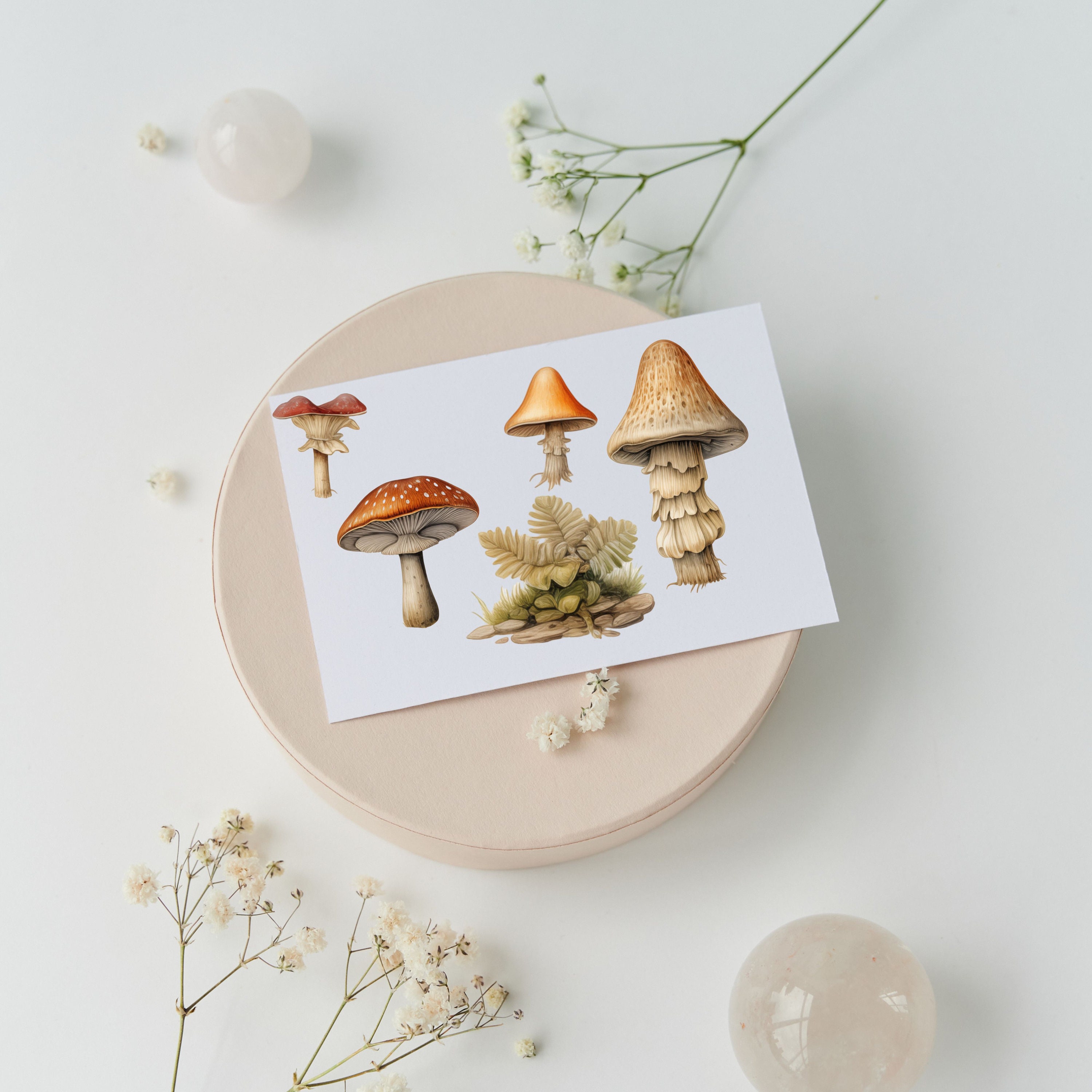 Woodland Clipart | Watercolor Mushrooms Clipart | Cute Mushrooms ...