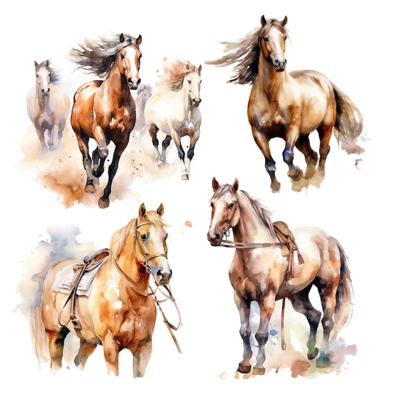 Watercolor Horse Clipart Bundle Sublimation Design Wild Horse PNG ...
