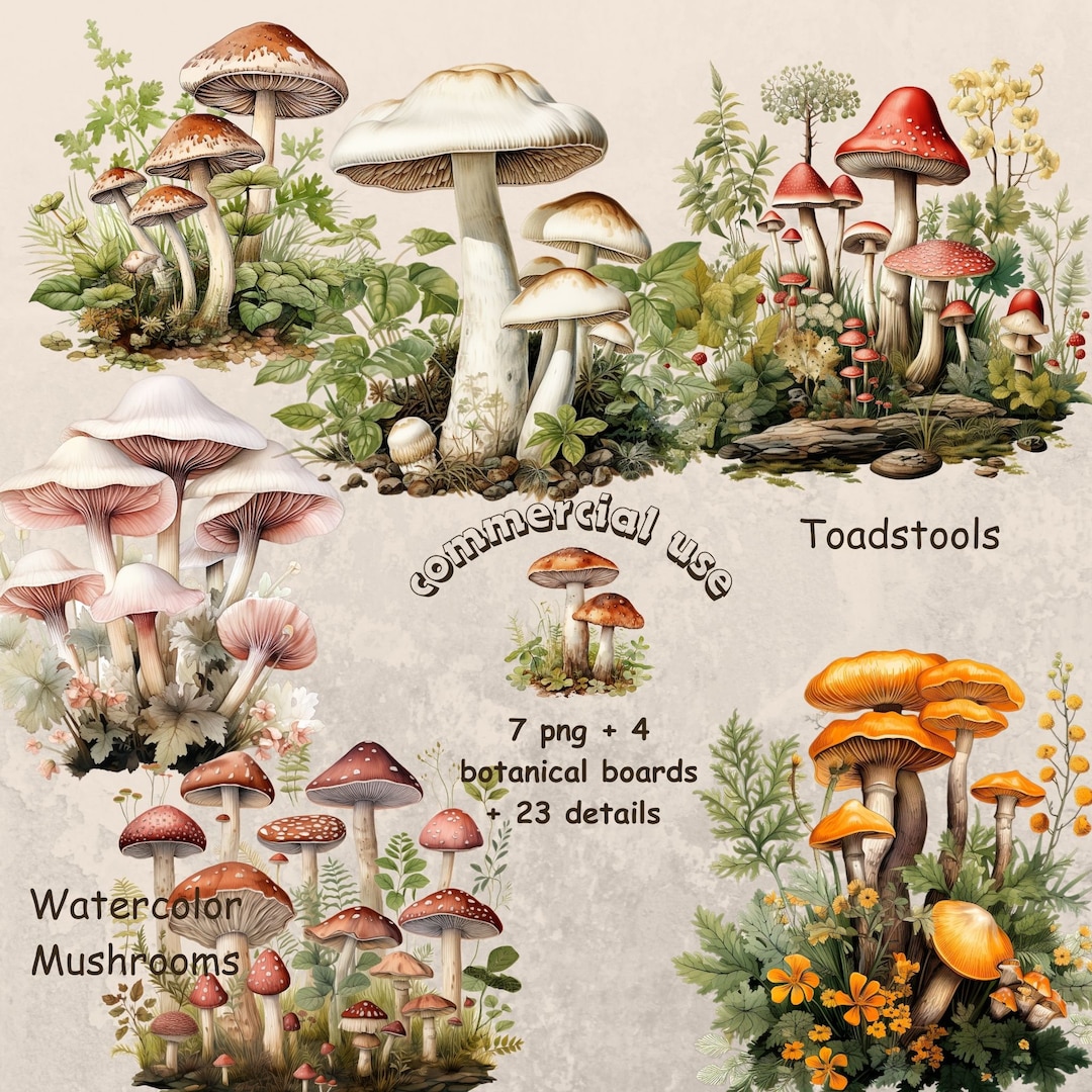 Mushroom Clipart Watercolor Toadstool Mushroom Cluster Clipart Fall ...