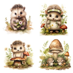 Cute Baby Hedgehog Clipart Watercolor Hedgehog PNG Digital Download for ...