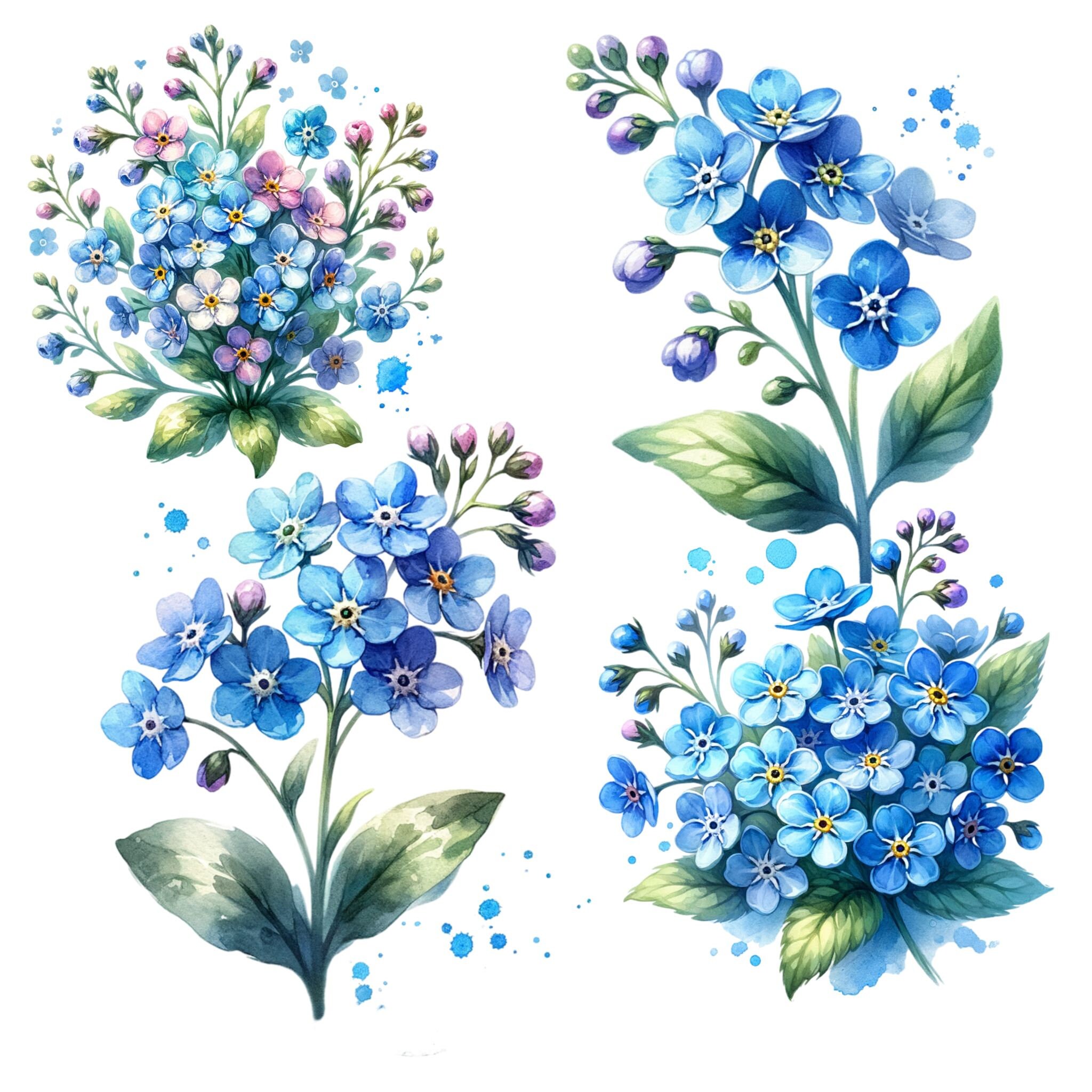 Blue Forgetme Not Clipart Floral PNG, Watercolor Forgetme Not Blue ...