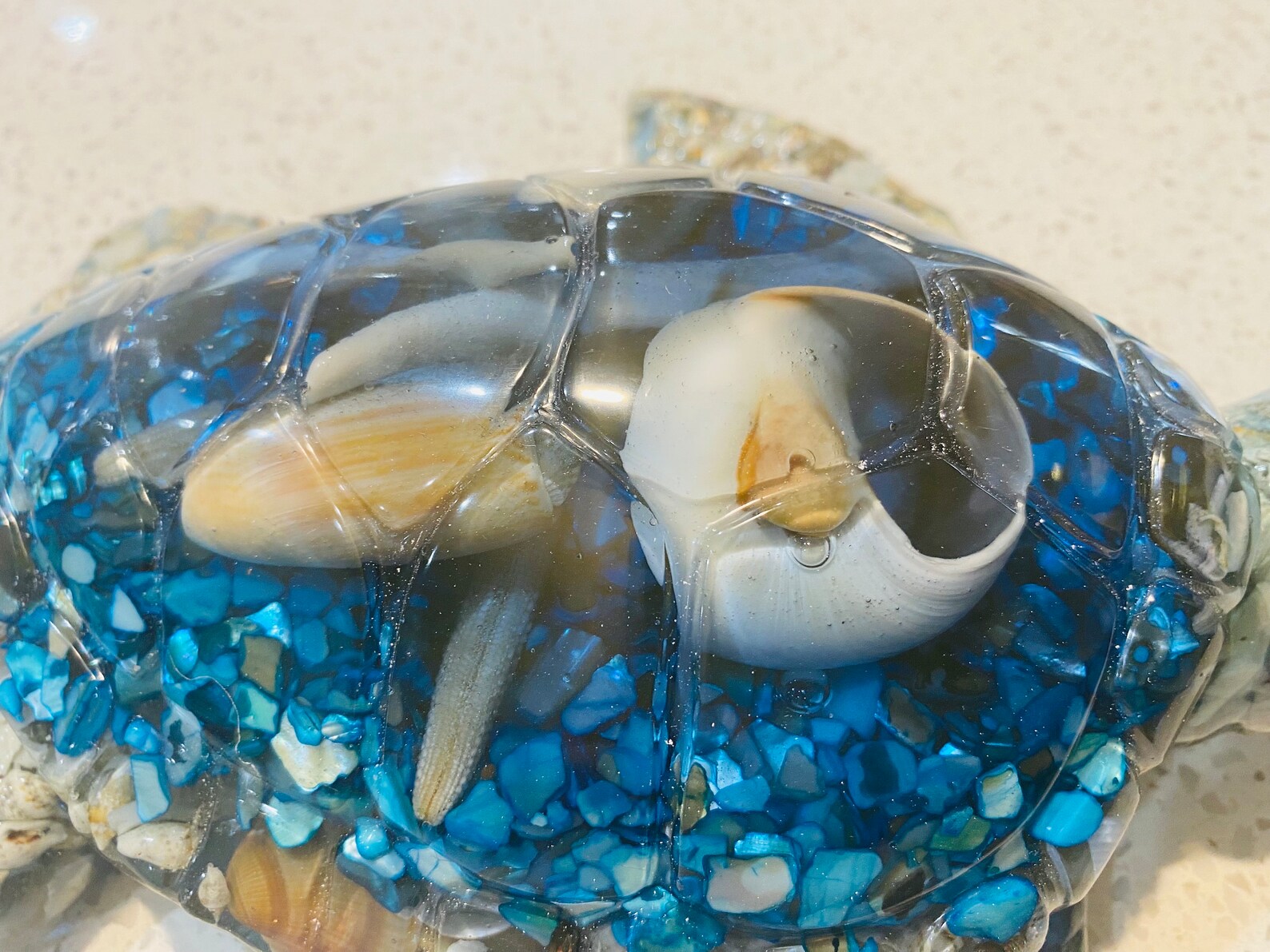 Made to Order Giant Blue Shell Resin Turtle - Etsy