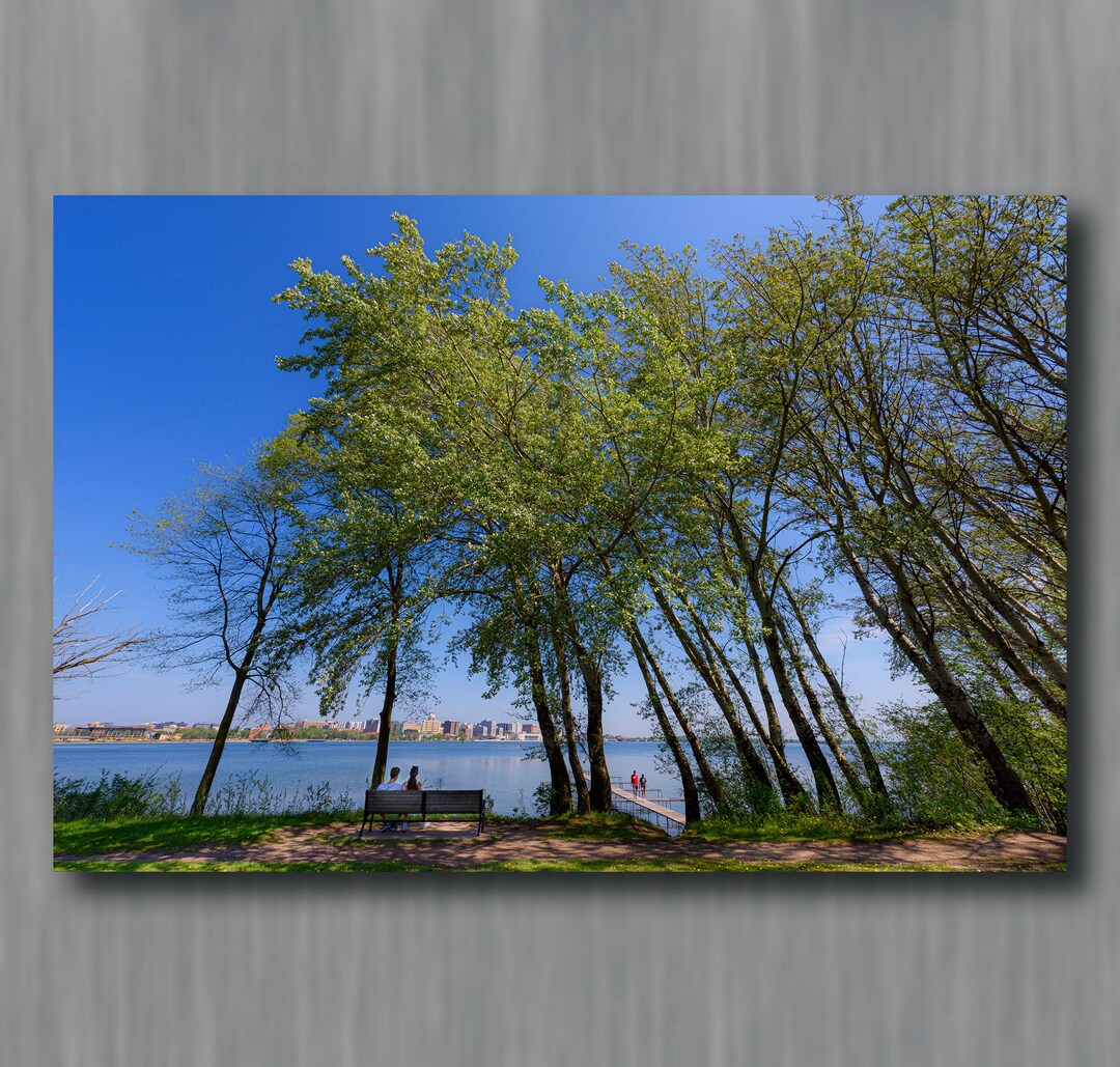 Madison Wisconsin Olin Park Skyline Photograph | Lake Monona Urban ...