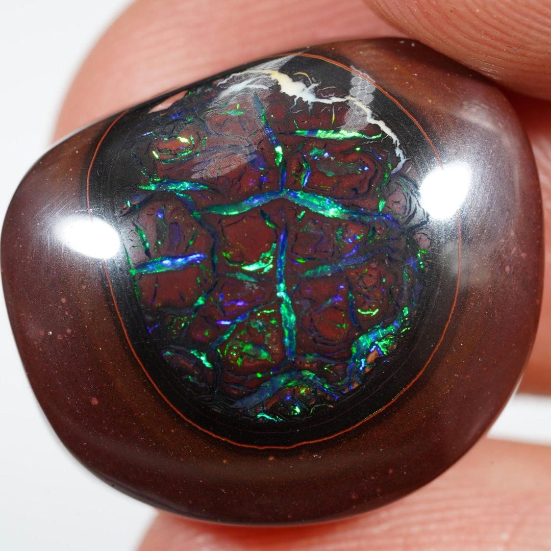 Boulder Opal 26.11cts Polished Stone for Jewelers or Collectors From ...