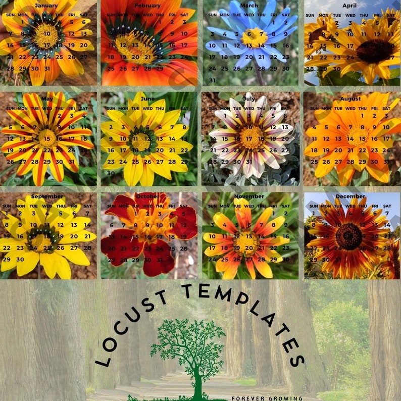 2024 Printable Editable Floral Yearly / Monthly Calendar 2024 Flower ...