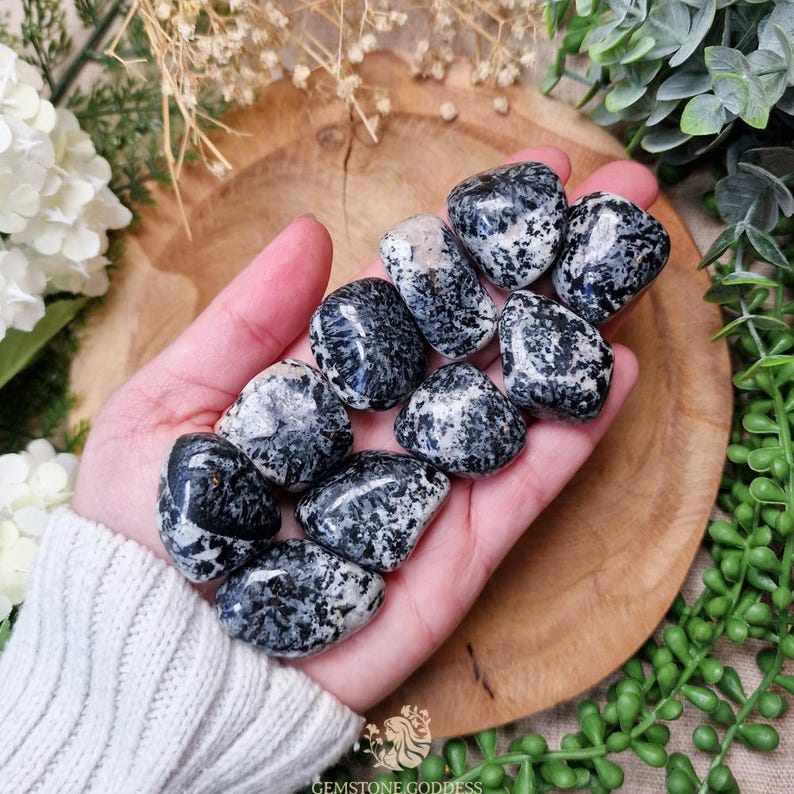 Orbicular Diorite Tumbled Stone, Crystal Gemstone Polished Natural High ...
