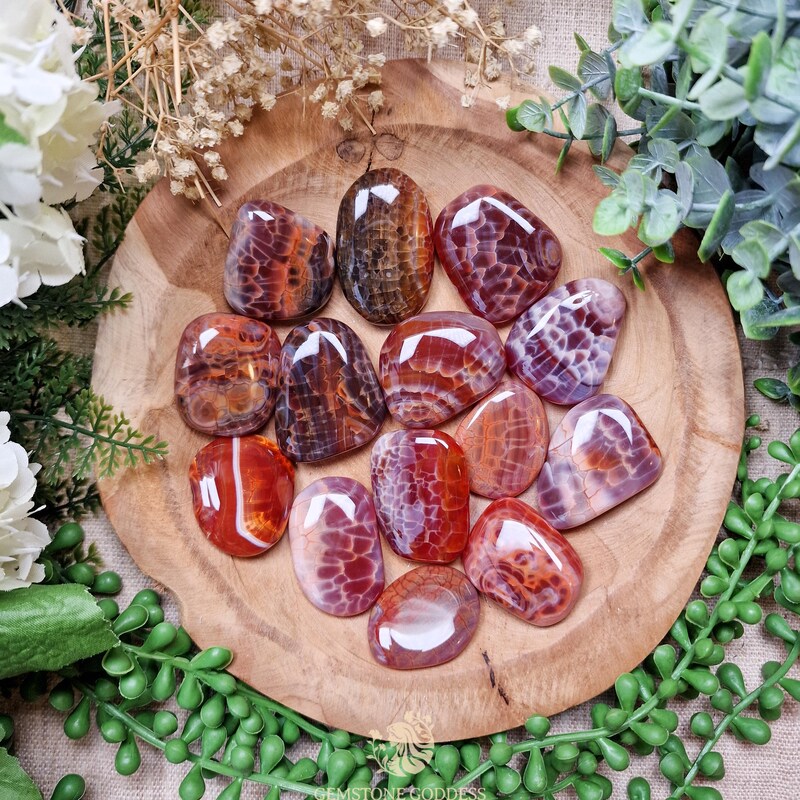 Snakeskin Agate - Etsy