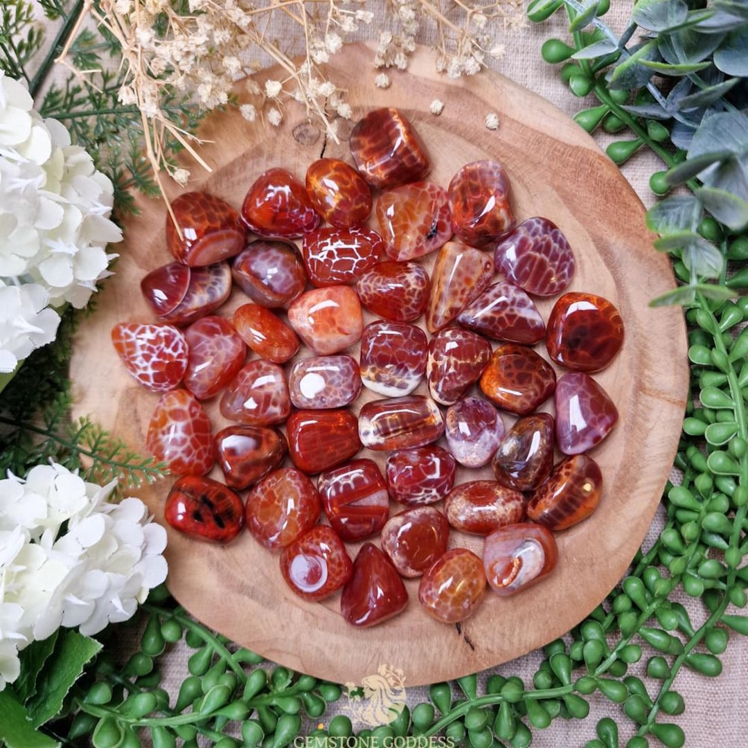 Snakeskin Agate Tumbled Stone, Crystal Gemstone Polished Natural High ...