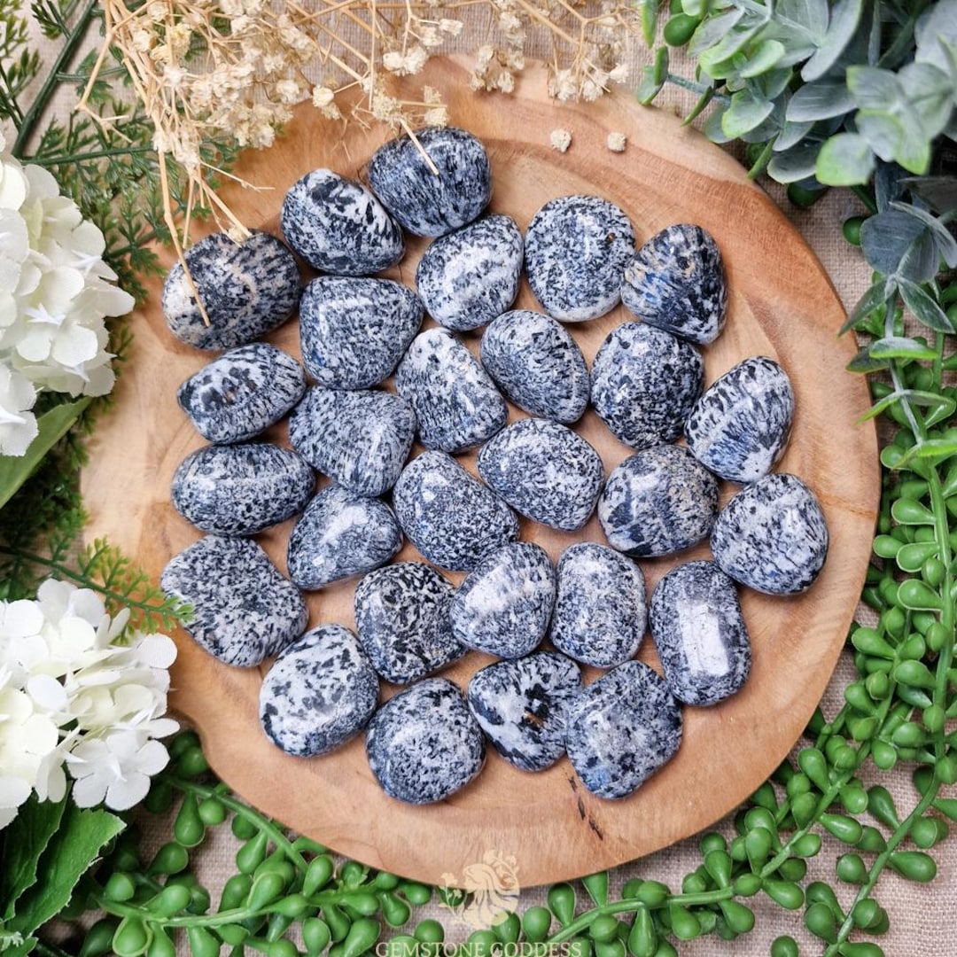 Orbiculite Tumbled Stone, Crystal Gemstone Polished Natural High ...