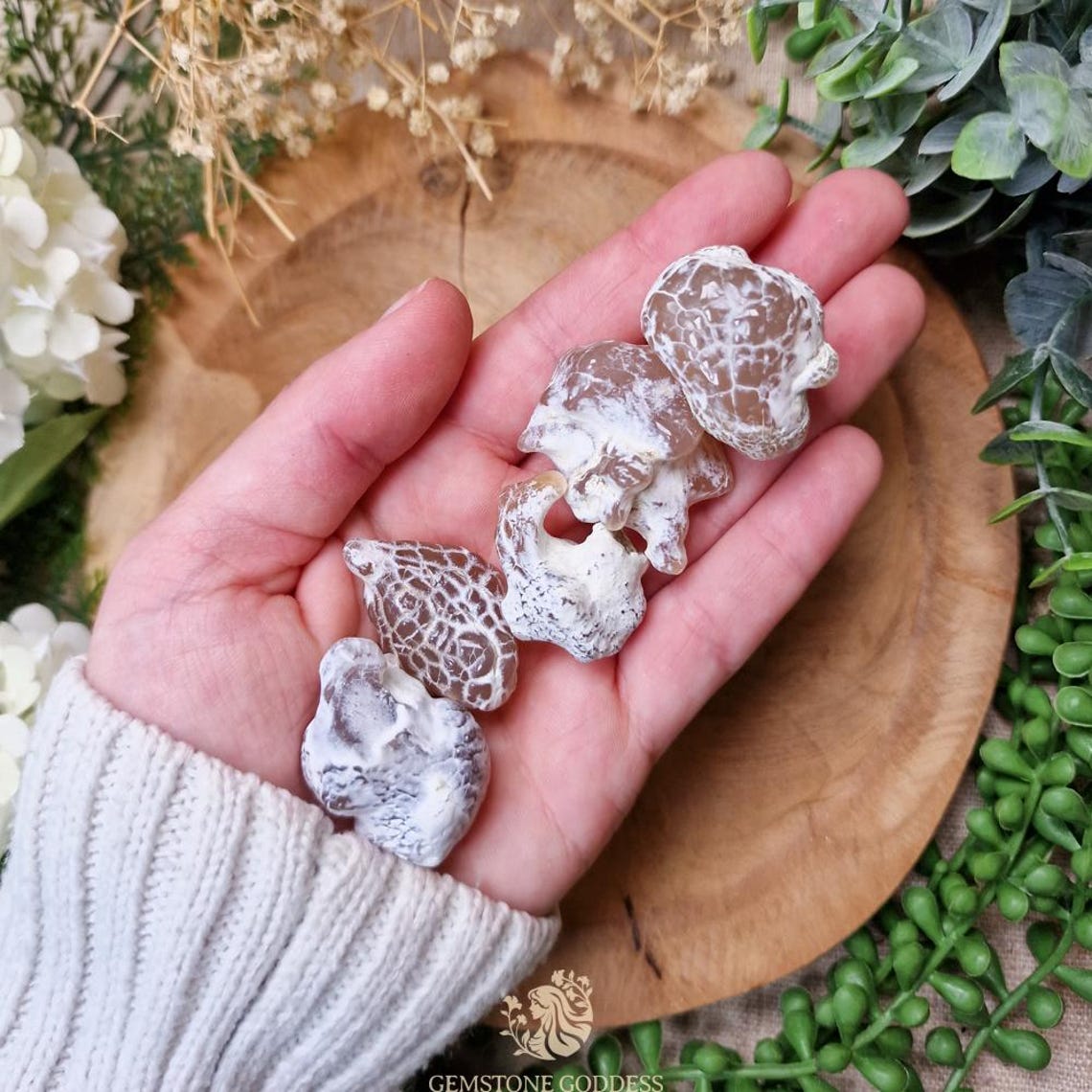 Snakeskin Agate Tumbled Stone, Crystal Gemstone Polished Natural High ...