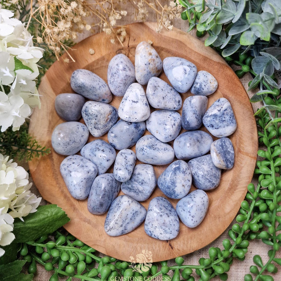 Graphite in Quartz Tumbled Stone, Crystal Gemstone Polished Natural ...