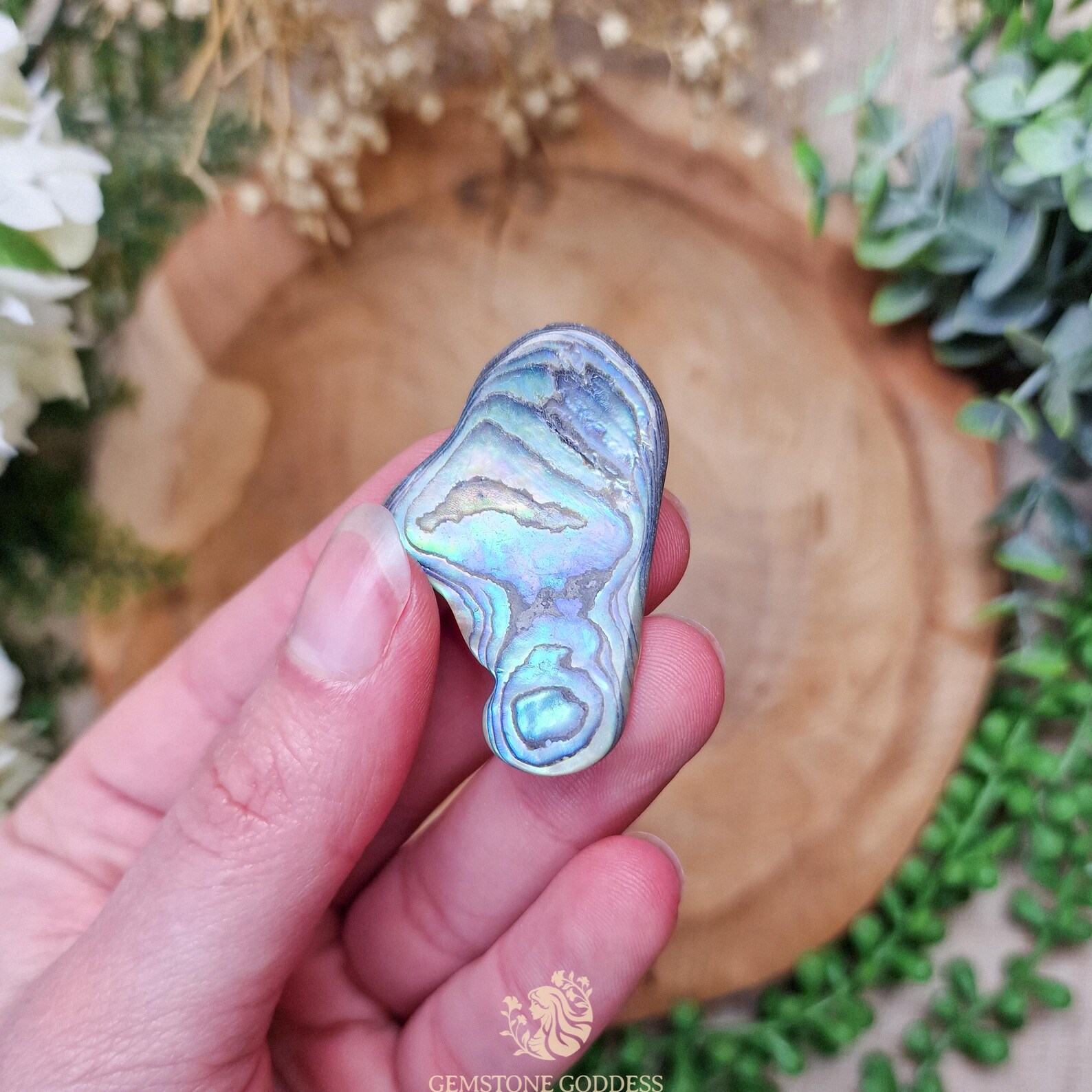 Abalone Tumbled Shell Stone, Crystal Gemstone Polished Natural High ...