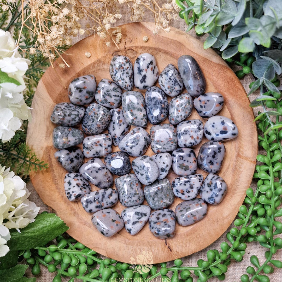 Garnet Gneiss Actinolite Tumbled Stone Crystal Gemstone Polished ...
