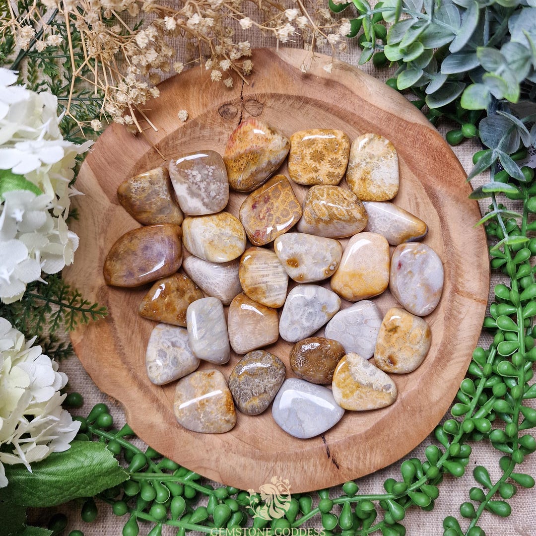 Agatized Fossil Coral Tumbled Stone, Crystal Gemstone Polished Natural ...