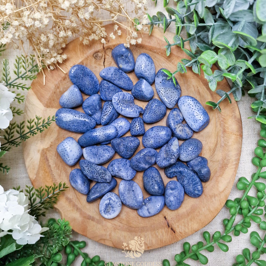 Blue Fossilized Coral Tumbled Stone, Crystal Gemstone Polished Natural ...
