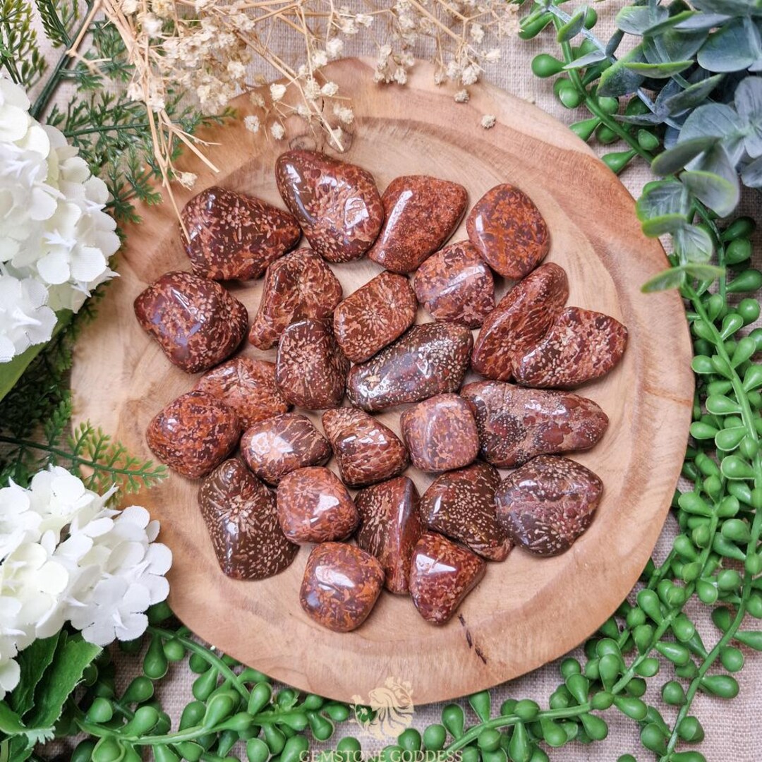 Starburst Jasper Tumbled Stone Crystal Gemstone Polished Natural High ...