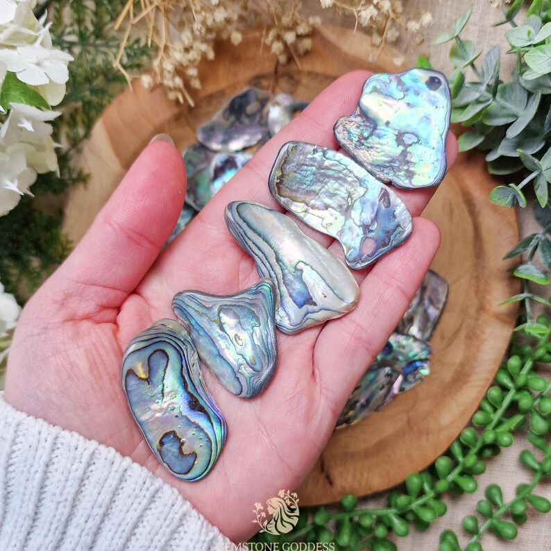 Abalone Tumbled Shell Stone, Crystal Gemstone Polished Natural High ...