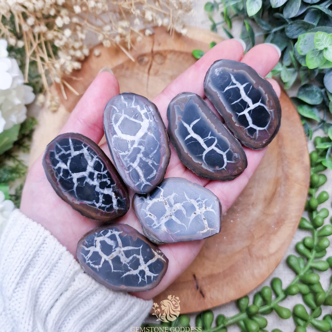 Raw Septarian Nodule Rough Rock | Gemstone Natural Crystal High Quality ...