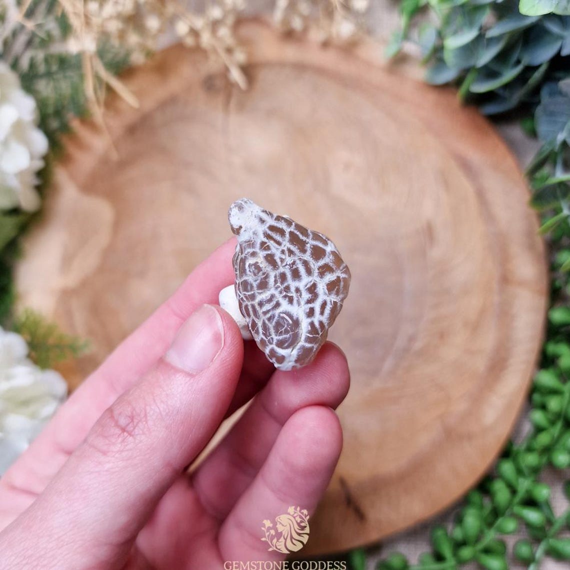 Snakeskin Agate Tumbled Stone, Crystal Gemstone Polished Natural High ...